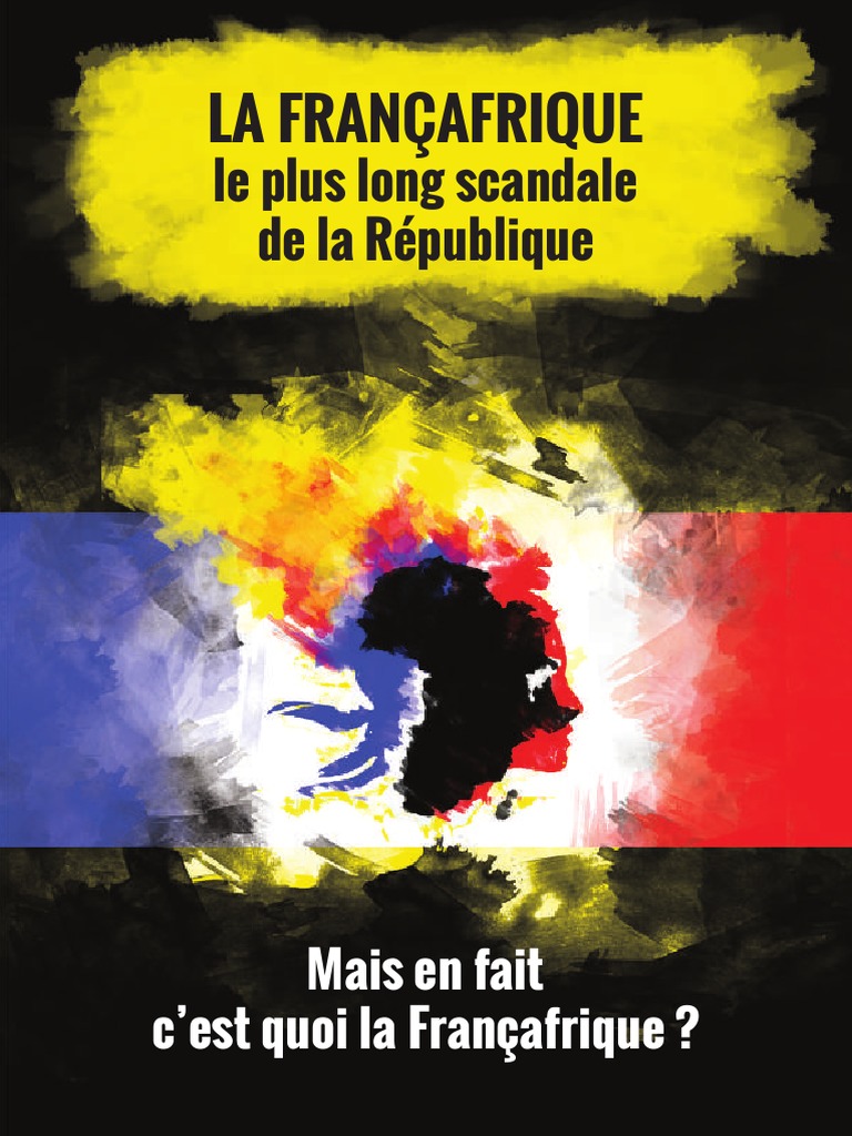 Comprendre la Françafrique aujourd'hui | PDF | Afrique | France