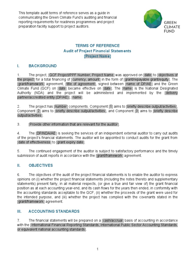 Terms of Reference Audit of Project Financial Statements (Project Name) I. Background | PDF ...