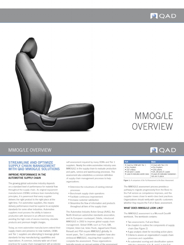 Mmog - Le Overview | PDF