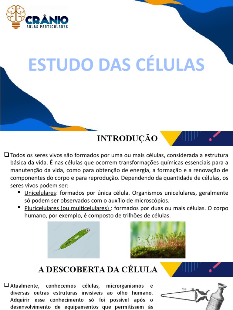 Estudo Das Células | PDF | Célula (Biologia) | Organelo