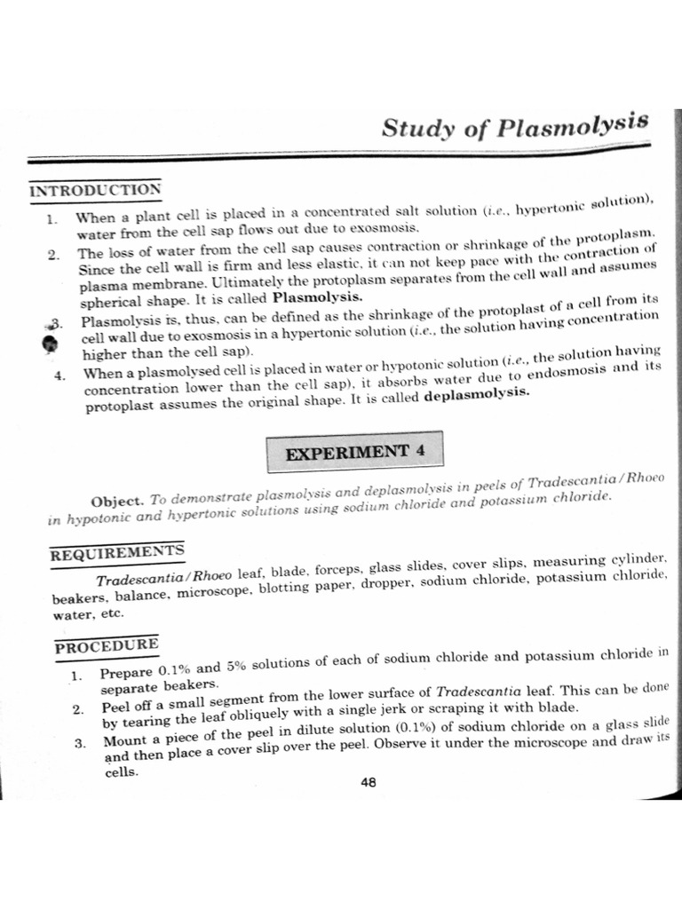 Plasmolysis Main File | PDF