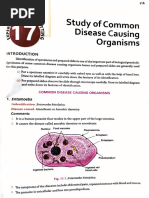 Biology Practical File | PDF | Teaching Methods & Materials | Science ...