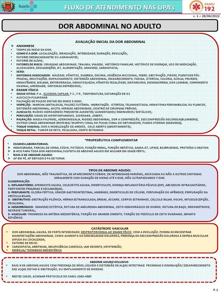 Protocolo de avaliação e manejo inicial da dor abdominal aguda no ...