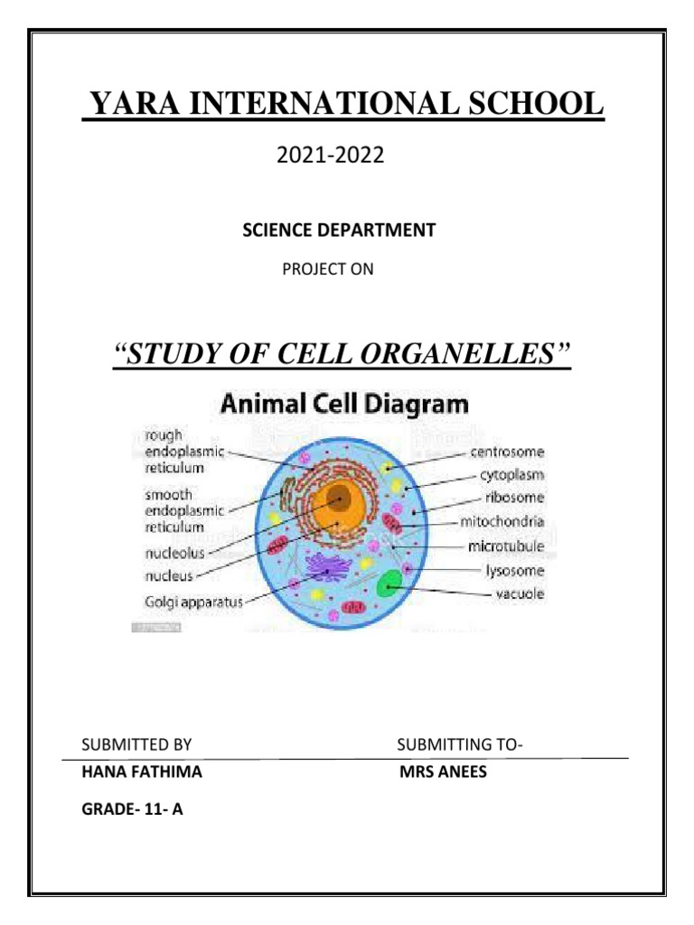 Analysis of a Biology Student's School Project on the Study of Cell ...