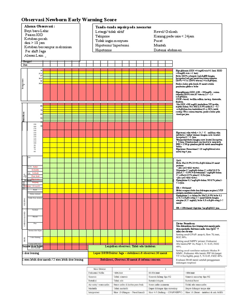 Newborn Early Warning Score Guide | PDF