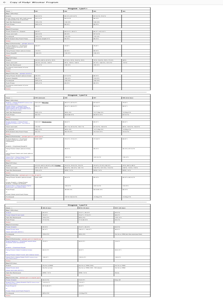 Hadyn Wiseman Program | PDF | Weight Training | Physical Fitness