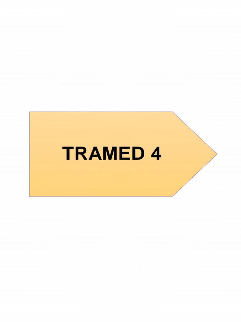Tramed 4 - 220613 - 153724 | PDF