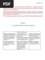 Onomatopeyas de Animales de La Selva | PDF