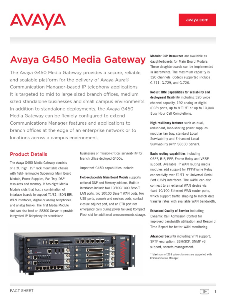 Avaya G450 Media Gateway | PDF | Voice Over Ip | Wide Area Network