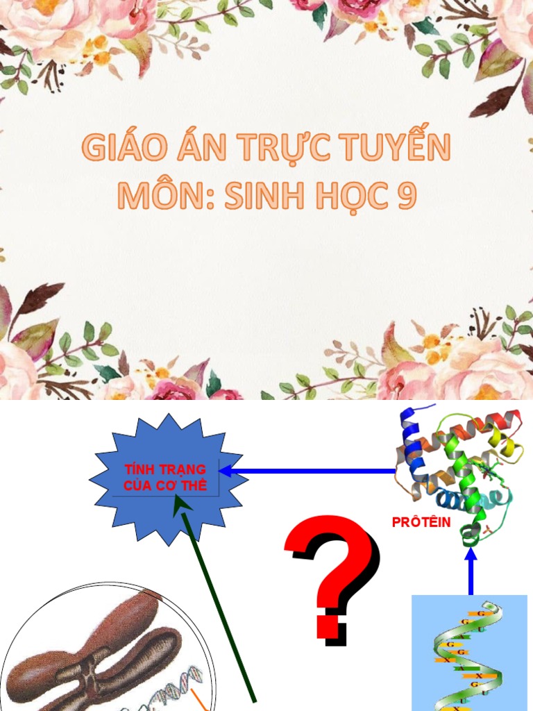 Bai 19 Moi Quan He Giua Gen Va Tinh Trang | PDF