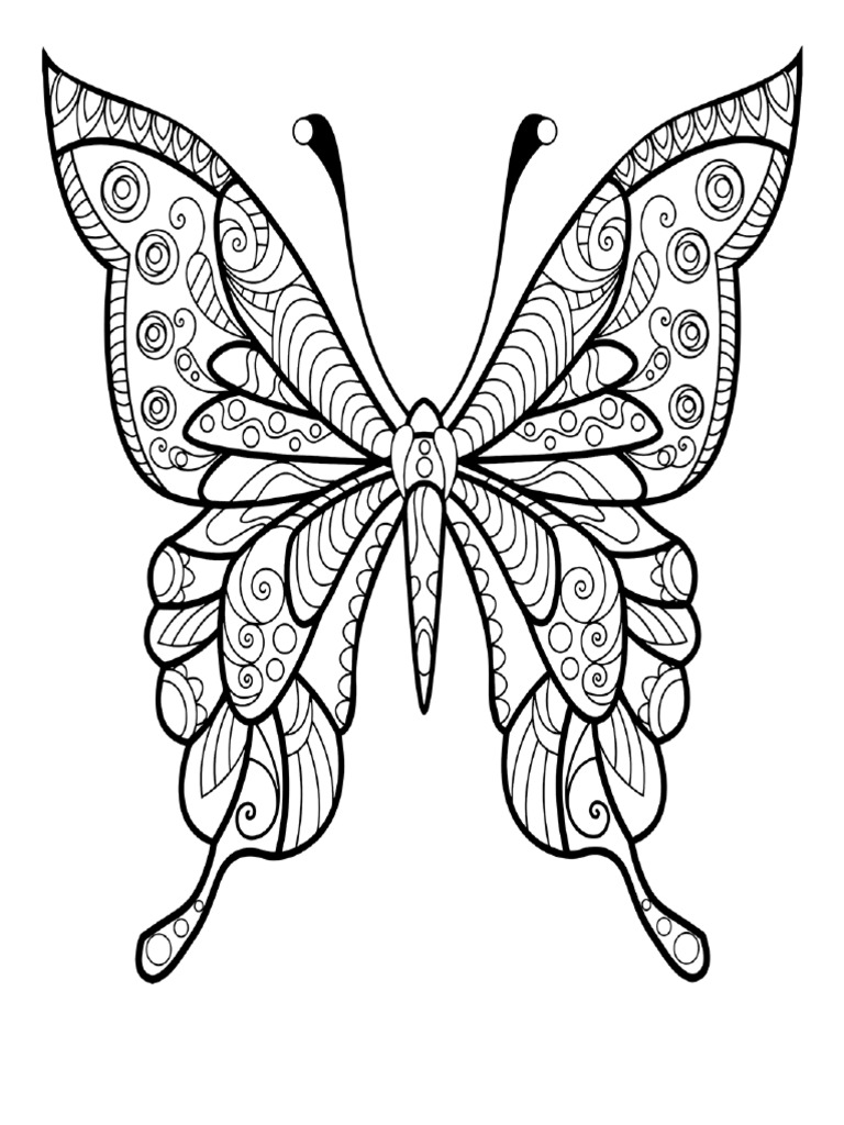 Mariposa Colores Frìos y Càlidos | PDF