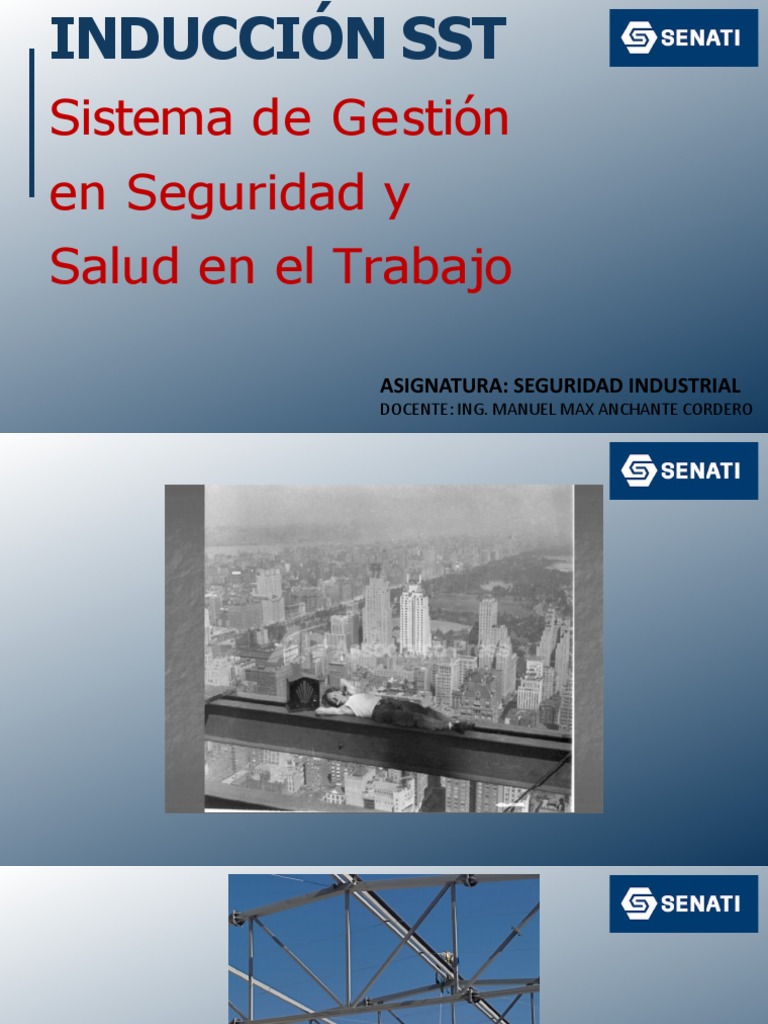 Induccion SST | PDF | Valores