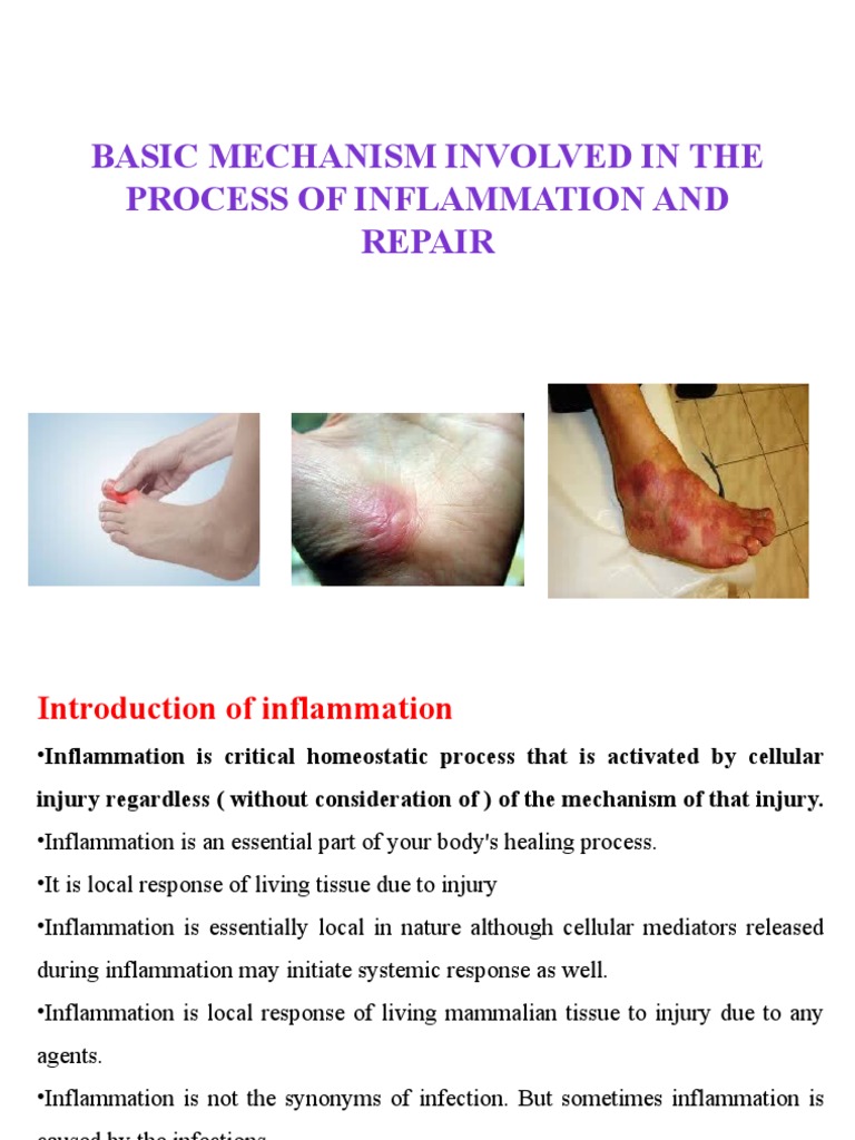Mechanism of Inflammation and Repair | PDF | Inflammation | Wound Healing