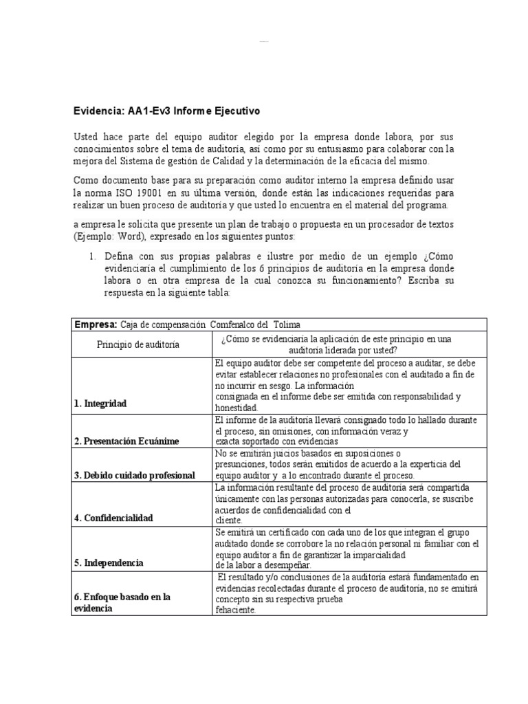 Evidencia AA1 Ev3 Informe Ejecutivo | PDF | Auditoría | Business