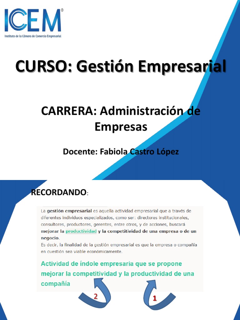 Definición y Organización en Gestión Empresarial | PDF | Planificación ...