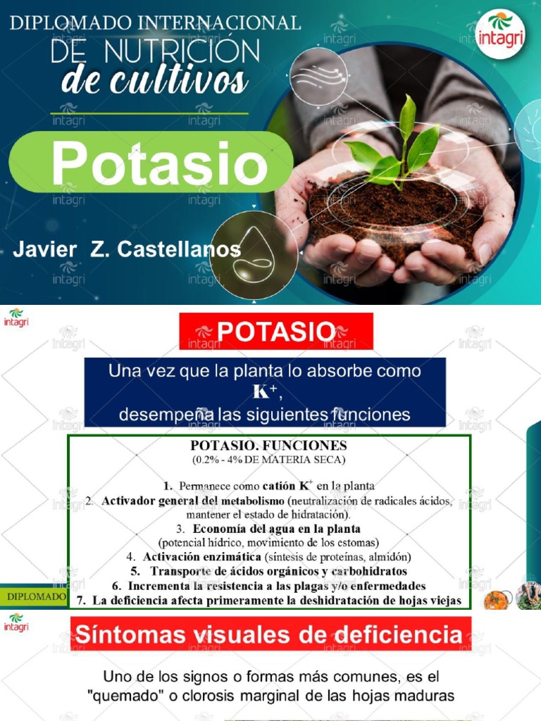 10.2 Potasio (Castellanos) | PDF