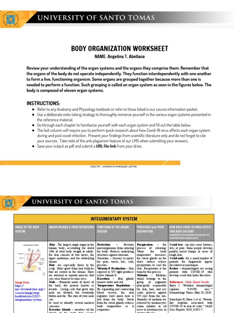 Body Organization Worksheet: Instructions | PDF | Human Body | Senses