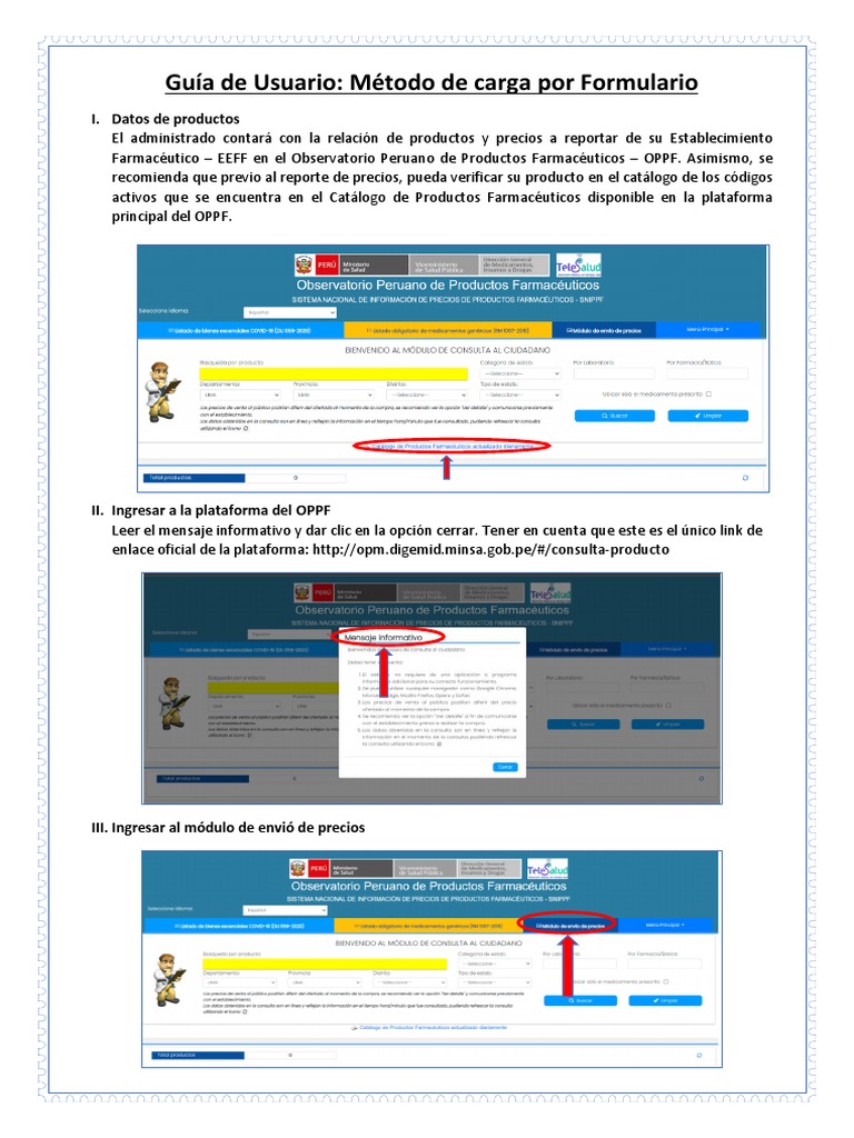 Material Carga Formulario | PDF | Farmacia | Contraseña