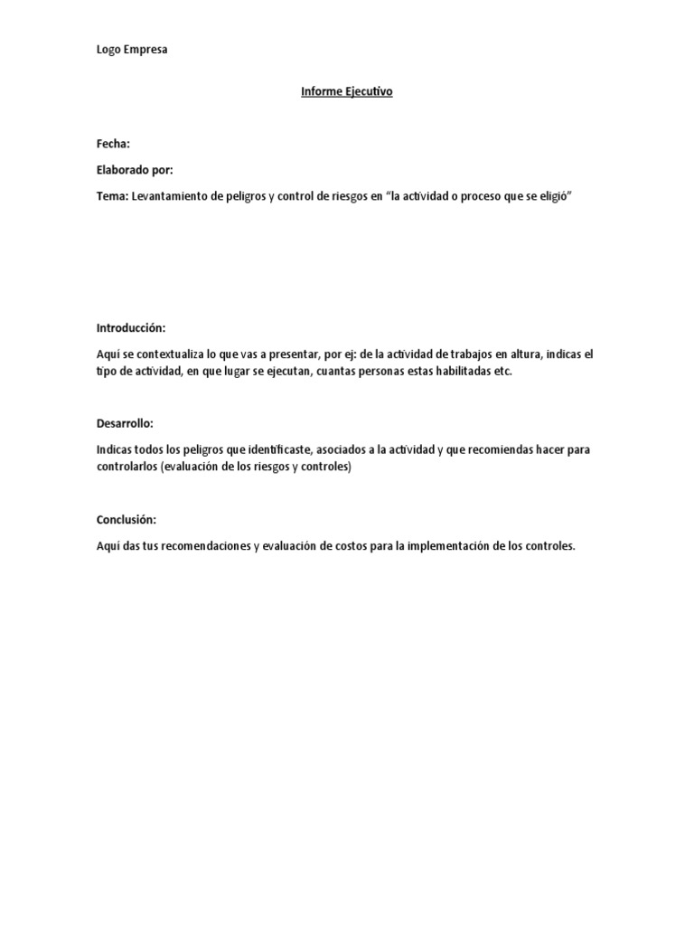 Ejemplo Informe Ejecutivo | PDF