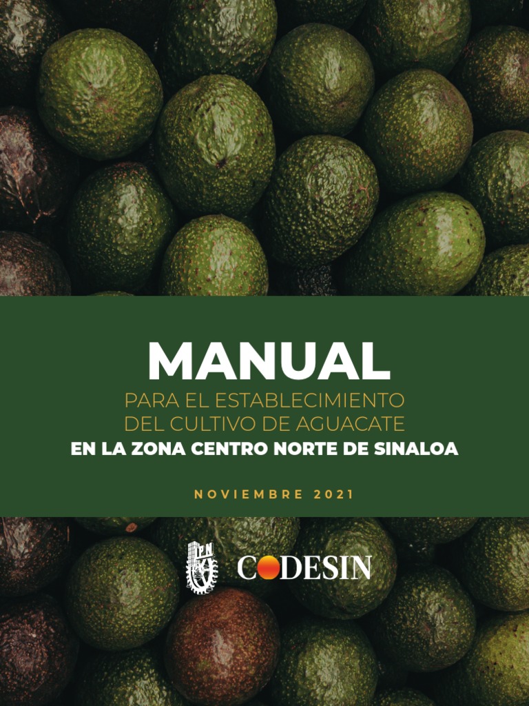 128 - Manual Del Aguacate - 17 11 2021 .PDF - 1637099646 | PDF | Aguacate | Injerto