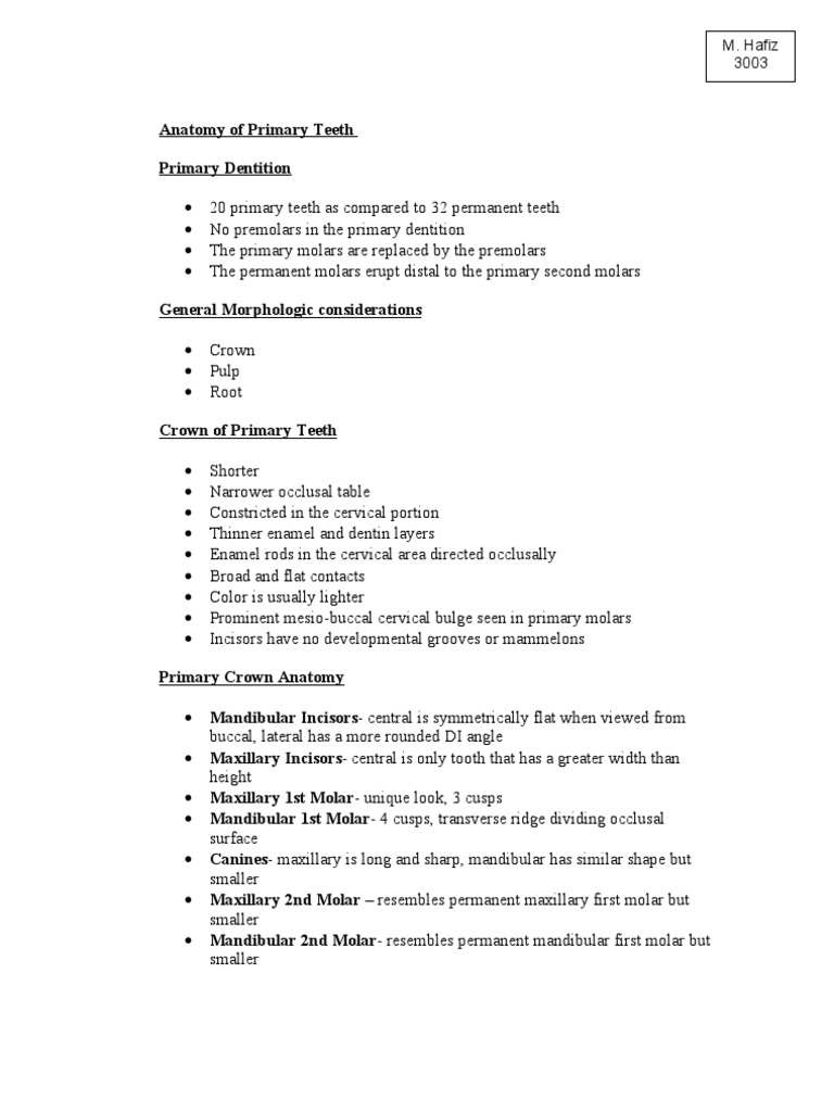 Primary Teeth Anatomy Guide | PDF