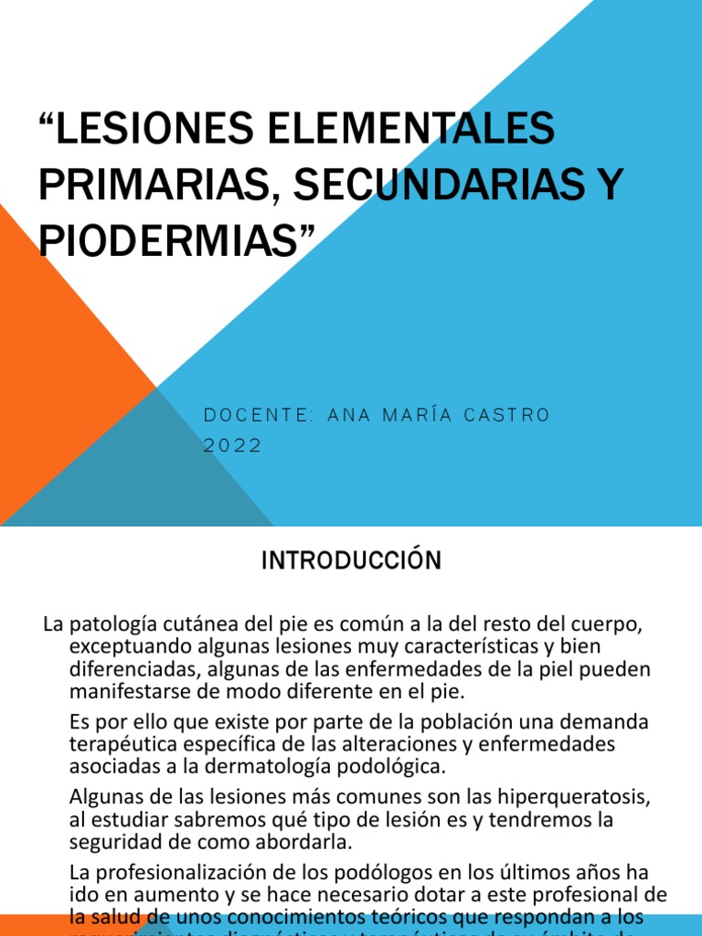 LESIONES ELEMENTALES PRIMARIAS, SECUNDARIAS Y PIODERMIAS Corp | PDF ...