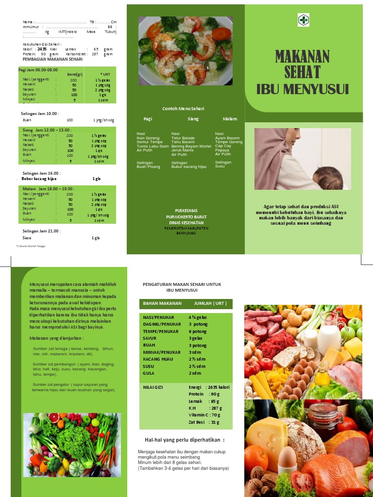 Brosur Ibu Menyusui | PDF