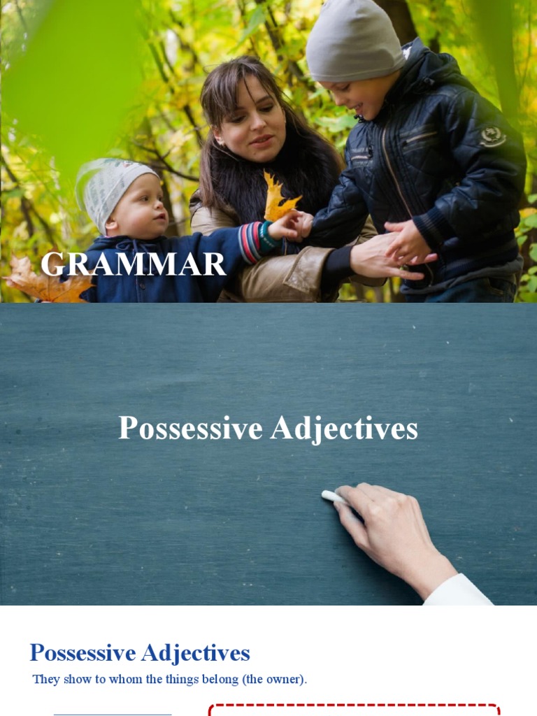 Possessive Nouns | PDF