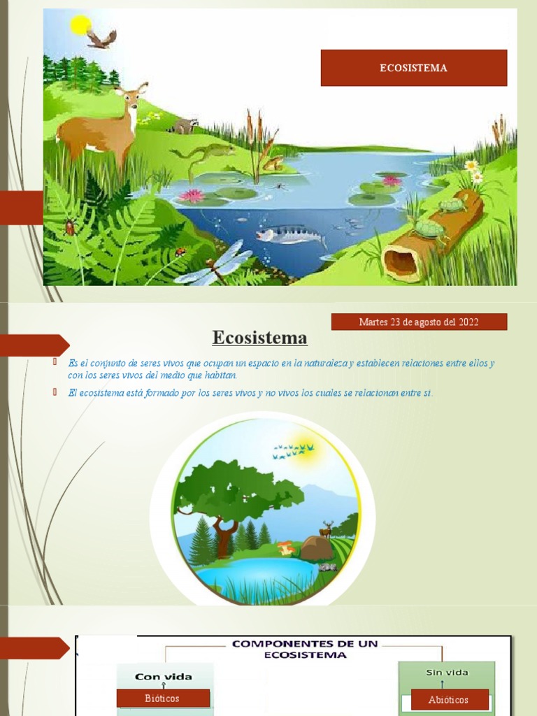 Ecosistema | PDF