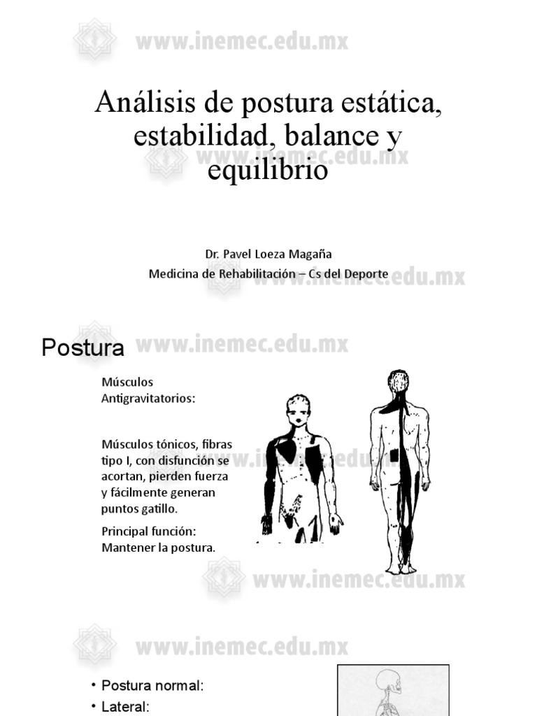 07 - 2 Analisis Postura Estatica Estabilidad Balance | PDF | Cerebelo | Corteza cerebral