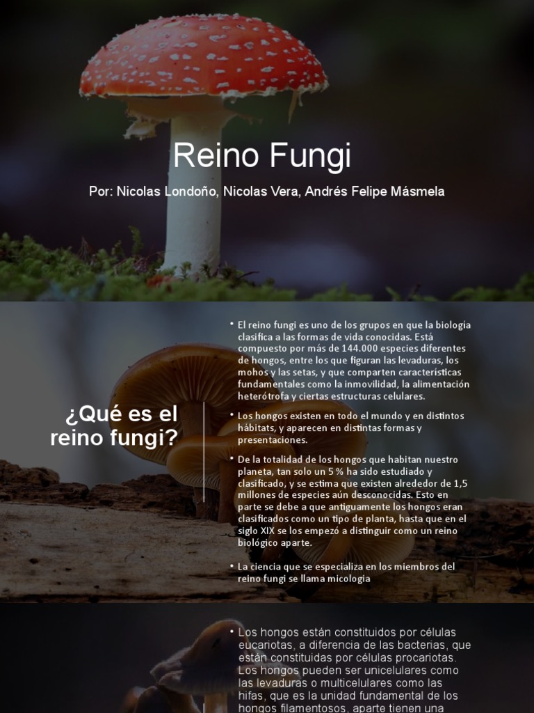 Reino Fungi | Descargar gratis PDF | Hongo | Plantas