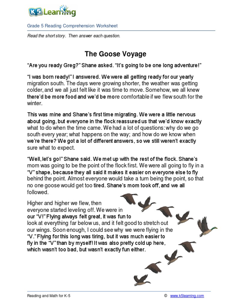 The Goose Voyage: Grade 5 Reading Comprehension Worksheet | PDF
