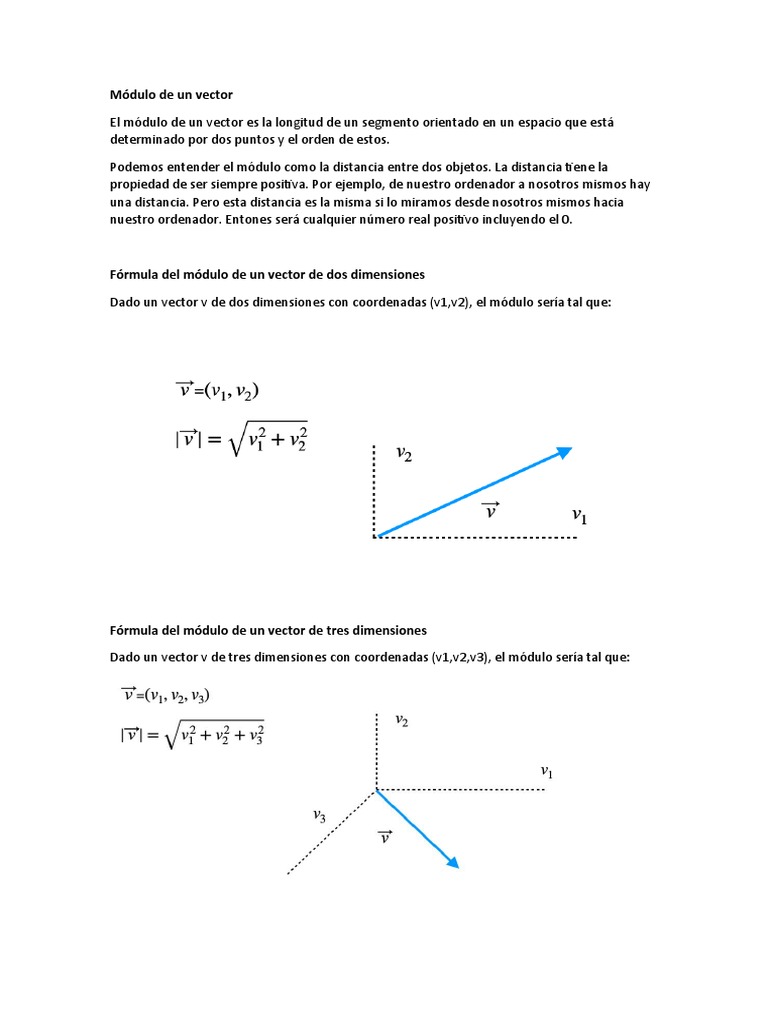 Módulo de Un Vector WORD | PDF