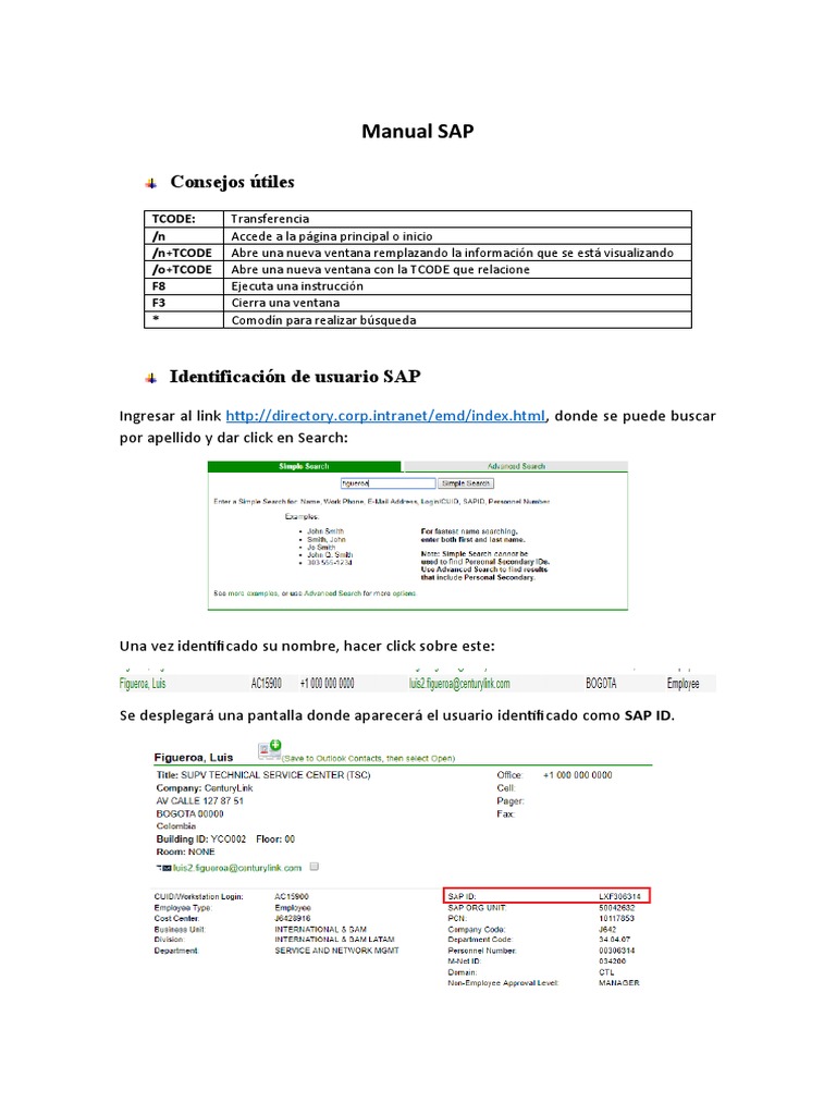 SAP - Manual | PDF | Edad de información | Software