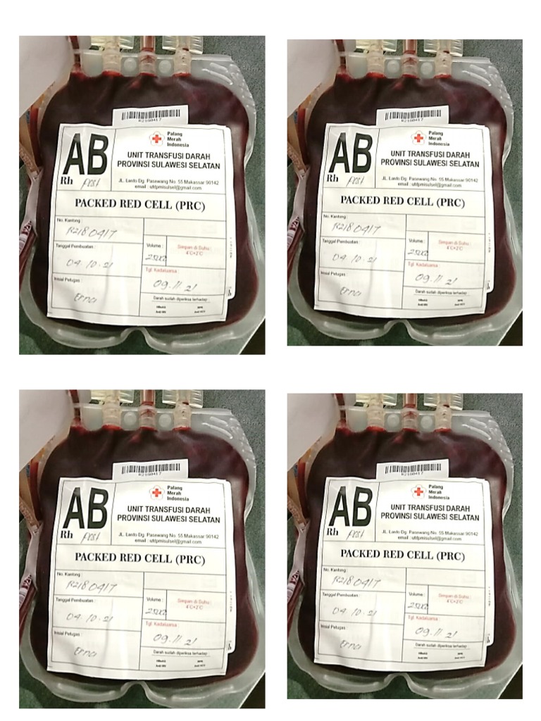 Contoh Kantong Darah | PDF
