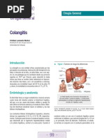 Criterios Tokio para Colangitis Aguda | PDF