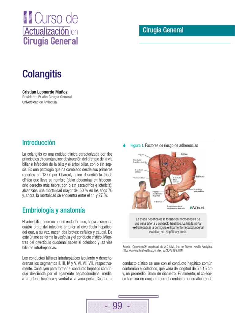 Colangitis | PDF | Medicina CLINICA | Enfermedades y trastornos