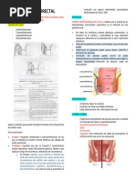 Fistulas y Abscesos Perianales | PDF | Cirugía | Especialidades Medicas