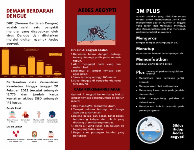 Leaflet DBD | PDF