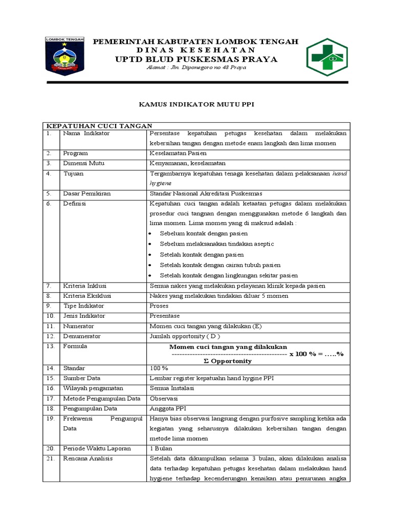 Profil Indikator Mutu PPI | PDF