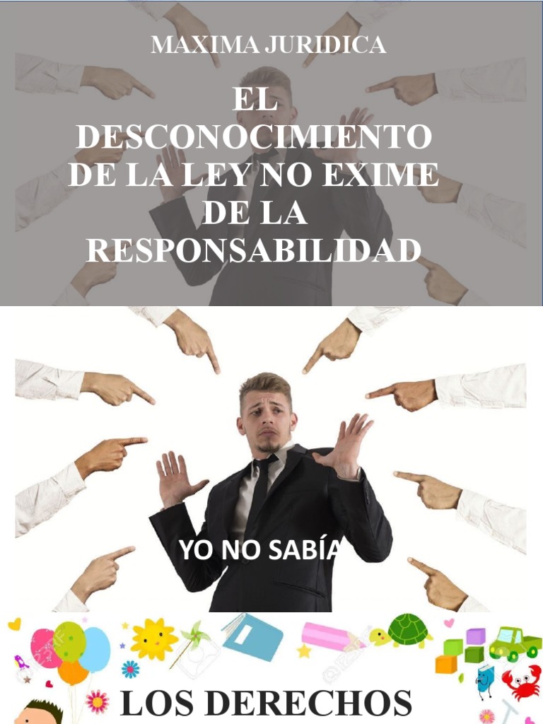 Ley Derechos de Los Nna. Disposiciones Generales | PDF | Adopción | Trabajo Social