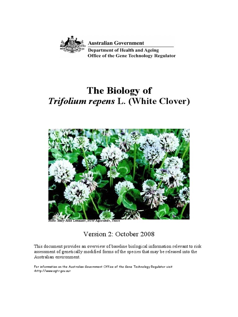 The Biology Of: Trifolium Repens L. (White Clover) | PDF | Ploidy | Clover