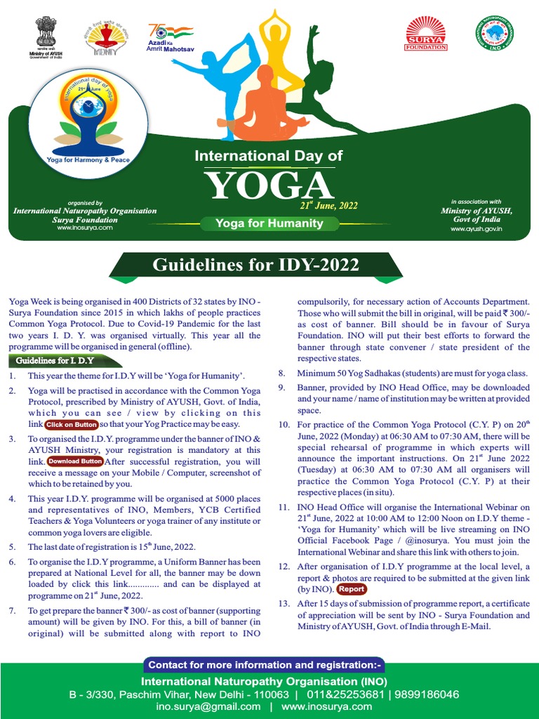 IDY - 2022 Guideline (English) | PDF | Computing