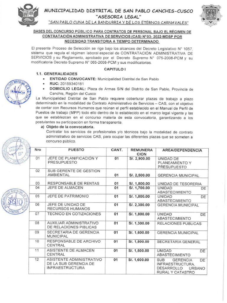 Anexos Modelo | PDF