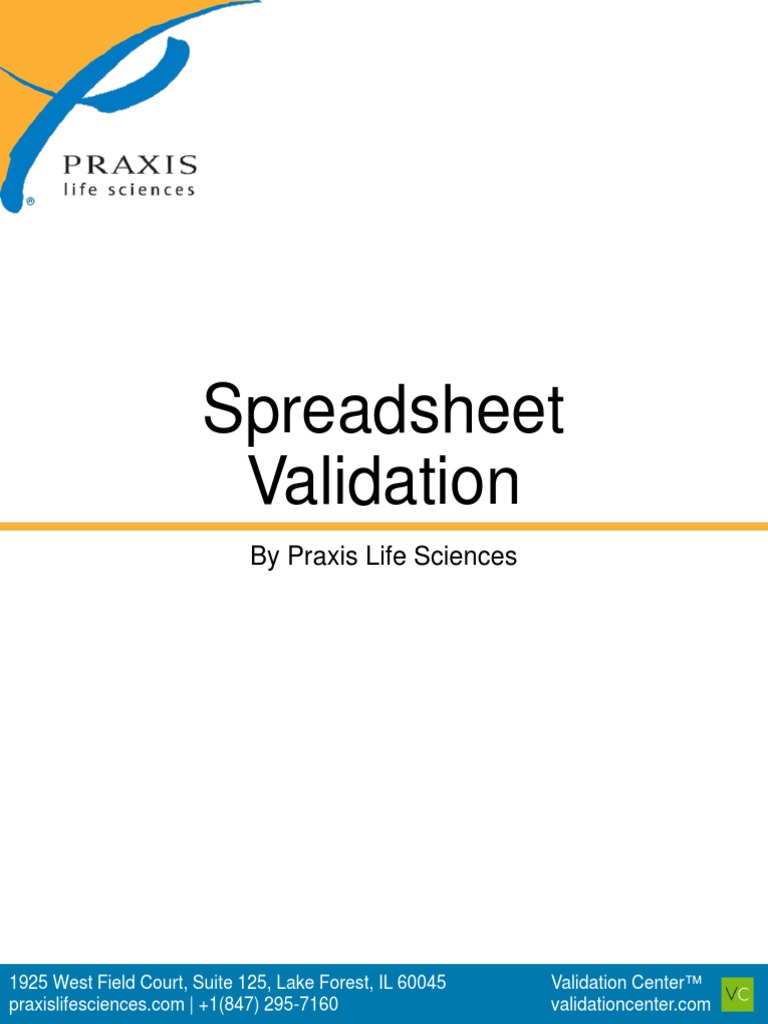 Spreadsheet Validation | Download Free PDF | Spreadsheet | Verification And Validation
