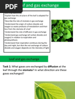 Adaptations of The Leaf For Photosynthesis and Gaseous Exchange | PDF ...