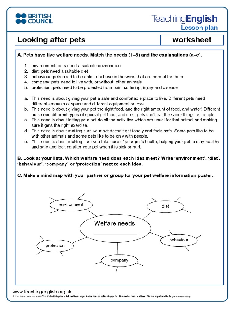 looking_after_pets_student_worksheet | PDF | Animal Welfare | Pet