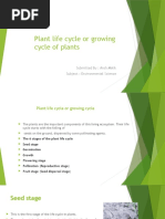 Life Cycle of A Plant Worksheet | PDF