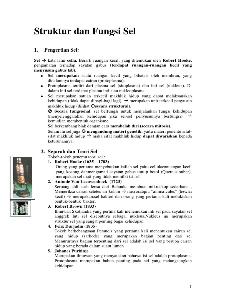 STRUKTUR DAN FUNGSI SEL | PDF