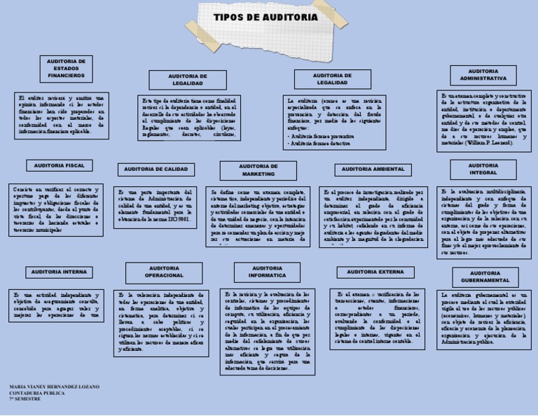 tipos de auditoria | PDF | Auditoría | Business